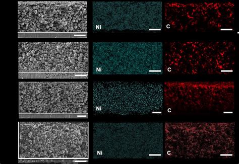 Cross Sectional Sem Image And Eds Mapping Of Electrode Surface Of A