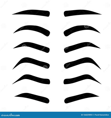 Female Eyebrows In Different Shapes Female Eyes With Different Forms Of Eyebrows Vector