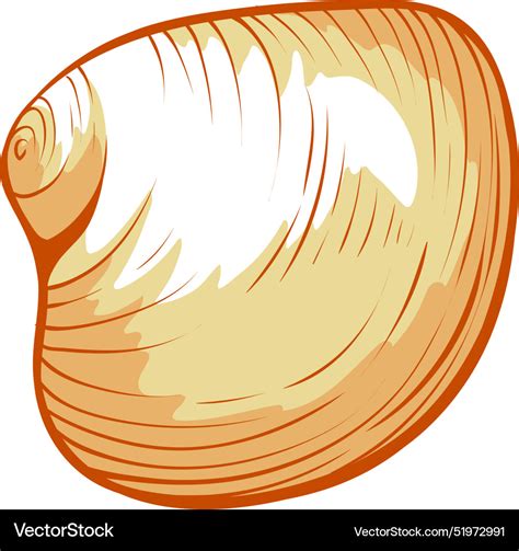 Hand Drawn Of A Single Clam Shell Royalty Free Vector Image