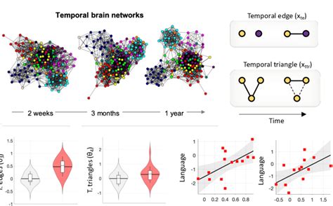 Tergm Analysis Of Longitudinal Brain Networks After A Stroke Event A