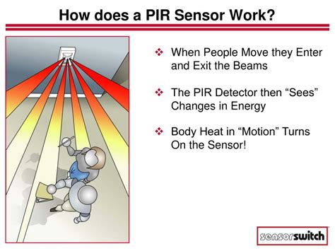 Ppt The Nightlite Sensor Powerpoint Presentation Free Download Id 1256726