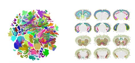 Landscape Of Sequencing Based Spatial Rna Technology Part I