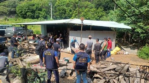 山老鼠非法提煉檜木精油 不法獲利超過500萬 社會 中時