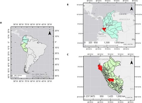 Geographic Scale Coffee Cherry Counting With Smartphones And Deep Learning Plant Phenomics