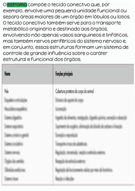 SOLUTION Anatomia Morfo Osteo R Dio Neuro Artro Mio Cin 1 Studypool