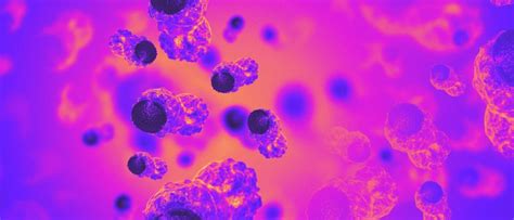 Cancer Bioanalysis Zone