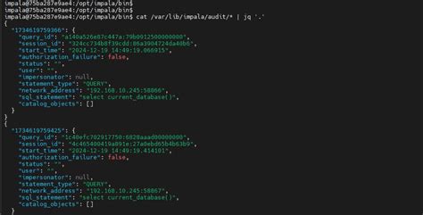 Impala Database Activity History Native Auditing Advanced Tools