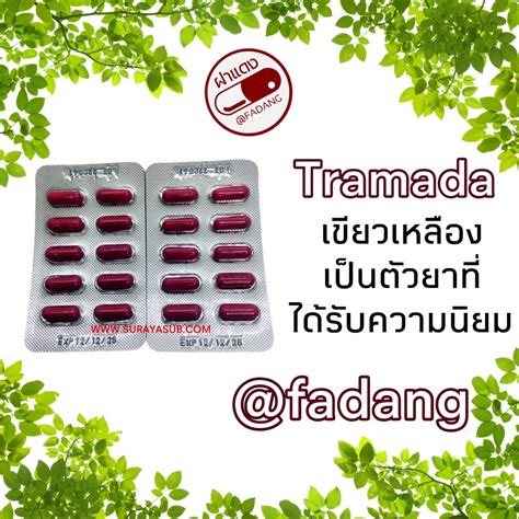 Tramada สุรา ยาสูบ ราคาถูก จัดส่งฟรี ทั่วประเทศ