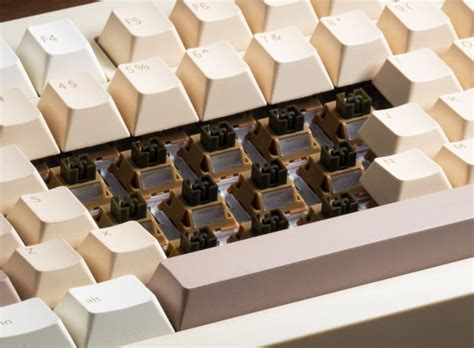 Capybara Linear Switches Kinetic Labs