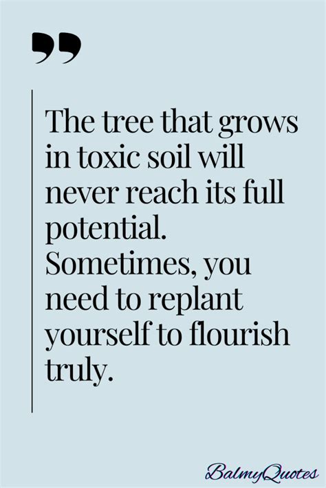 40 Powerful Quotes On Cutting Ties And Letting Go