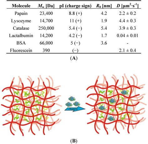 Polymers Free Full Text Polyelectrolyte Multilayers Towards Single