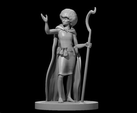 Human Female Druid Cubed Precision