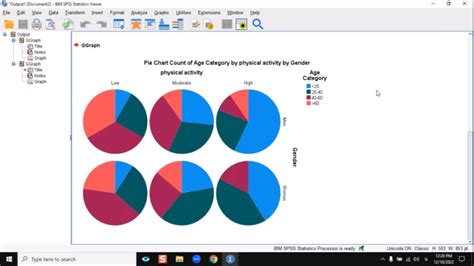 نمودار دایره ای Pie Chart با استفاده از نرم‌افزار Spss