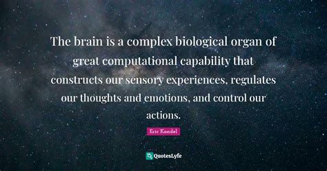 The Brain Is A Complex Biological Organ Of Great Computational Capabil