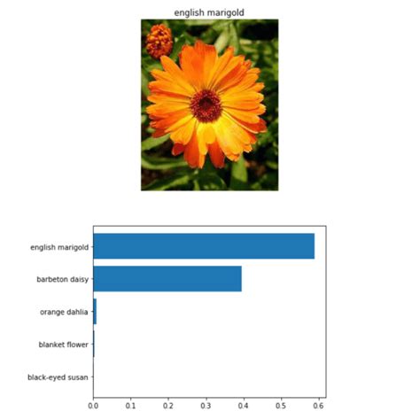What Flower Is This Developing An Image Classifier With Deep Learning Using Pytorch Caroline
