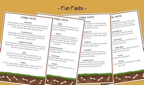 Fossils Fun Fact Sheets Ks2 Evolution And Inheritance Primary Science