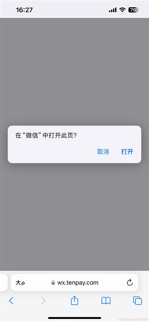 H5微信外支付h5微信支付 Csdn博客