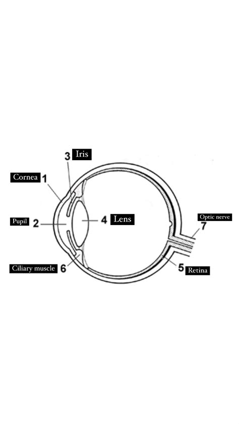 [solved] this is the eye diagram fill in the part name and the