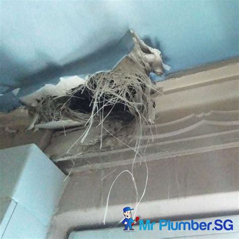Pipe Replacement Plumber Singapore Hdb Geylang Mr Plumber Singapore