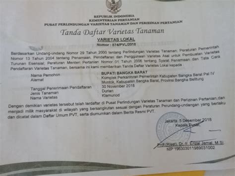 Susul Namlung Durian Klamunod Diusulkan Jadi Varietas Unggul Nasional