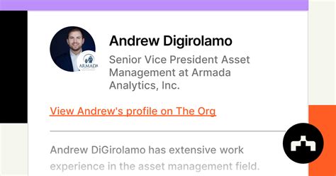 Andrew Digirolamo Senior Vice President Asset Management At Armada Analytics Inc The Org