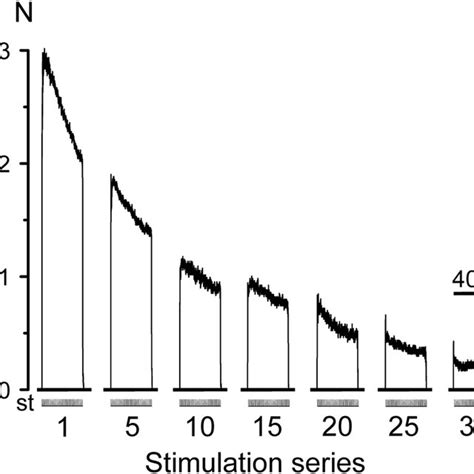 Tension Dynamics Of The Triceps Surae Muscles During Isometric Download Scientific Diagram