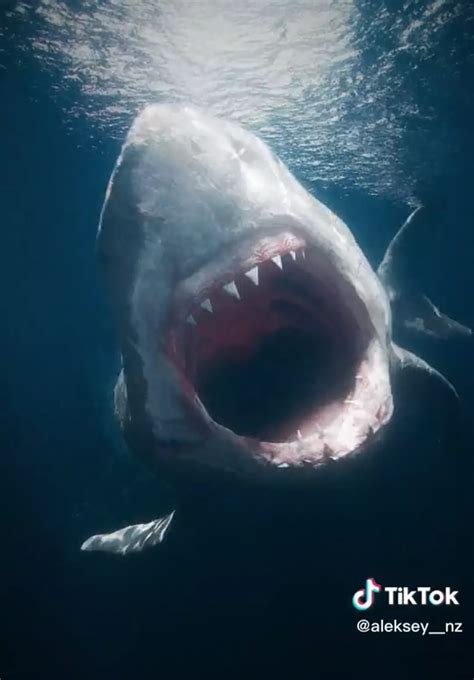 Megalodon Breaks Ship In Half In Animation News Ladbible