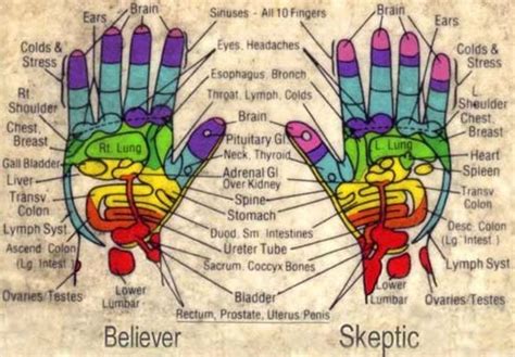 What Are Acupressure Points Hubpages