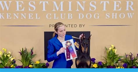 Flvs Florida Virtual School Grades K 12 Online