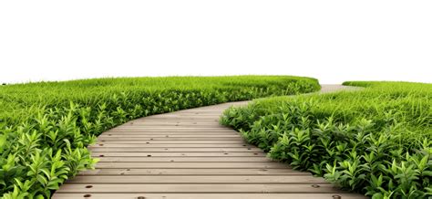 Grass Path Pngs For Free Download
