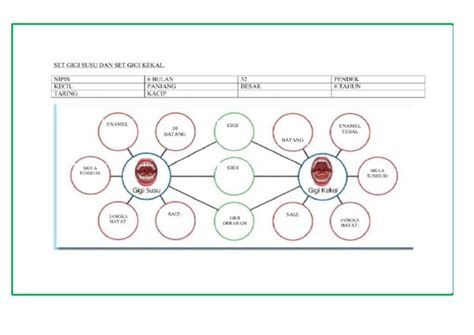 Latihan Gigi Susu Vs Gigi Kekal Pdf