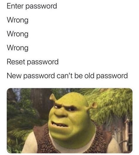 Enter Password Wrong Wrong Wrong Reset Password New Password Cant