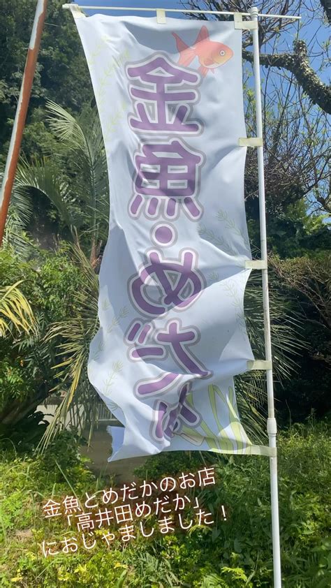 鹿児島県”食の宝庫”大崎町大崎町ふるさと納税【公式】 昨年、地元で長年愛されてきた鯉料理店「高井田養魚場」 の事業を承継した店主が