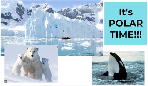 Ideas For Teaching Polar Functions In Ap Calculus — Calc Is Life Just