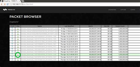 Filtering Packet Captures — Fmadio