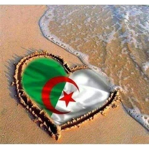 Haut 77 images fond d écran algérie fr thptnganamst edu vn