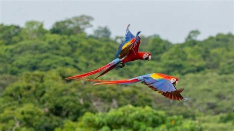 Jay Michael Gloede On Linkedin Risk Environment Sustainable