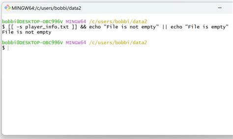 Bash How To Check If File Is Empty With Examples Collecting Wisdom