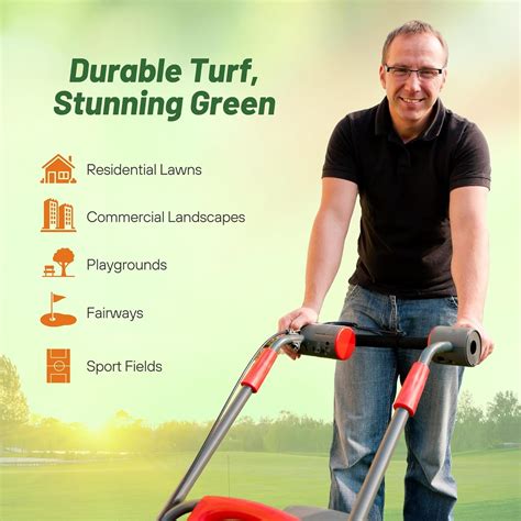 Fireball And Hattrick Grass Seed Perennial Ryegrass Seed Blend