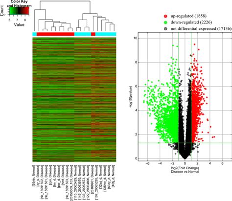 Heat Map And Volcanic Map Of Differentially Expressed Genes Between