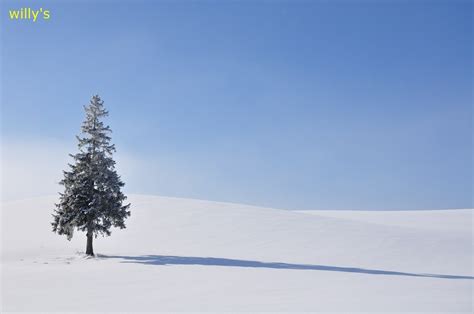 꼭 가봐야할 일본의 자연 베스트 겨울풍경 홋카이도北海道 자유게시판 세상에 하나뿐인 여행 브라이트스푼