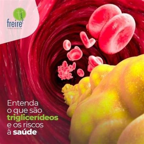 O Que Significa Plaquetas Altas Ou Baixas Labfreire