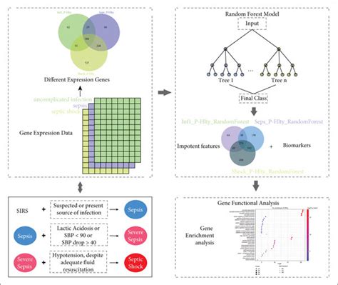 The Workflow Of Identifying Molecular Signature Of Sepsis Gene
