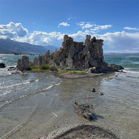 Mono Lake All You Should Know Before Going 2026 Reviews