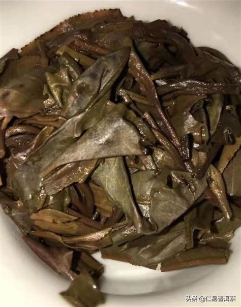 入門茶或者普洱茶為什麼要從新茶生茶開始喝二 每日頭條