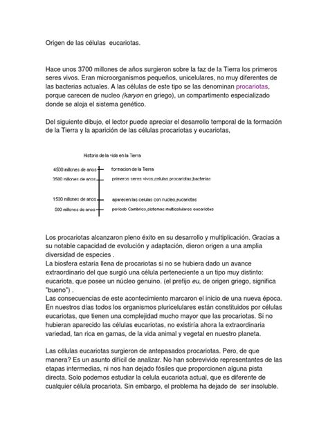 Origen De Las Células Pdf Eucariotas Biología Celular