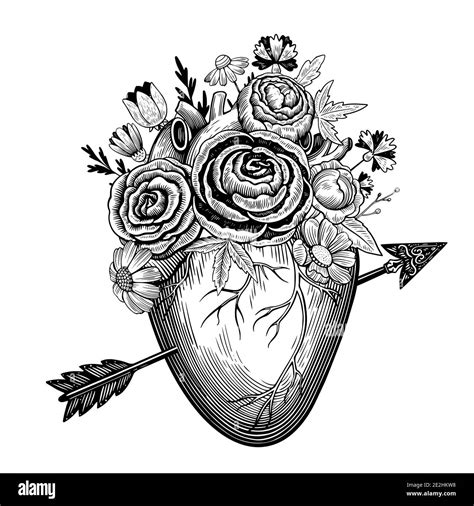 Vintage Illustration Of Heart Pierced By An Arrow In Engraving Style
