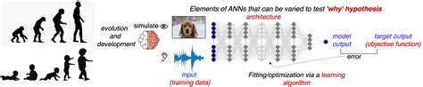 Using Artificial Neural Networks To Ask ‘why Questions Of Minds And