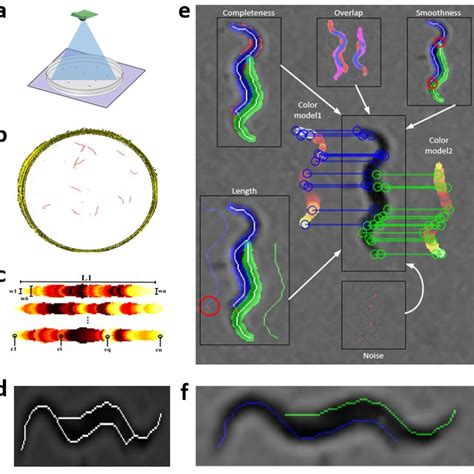 General Scheme Of Image Processing The Image Shows The Different Download Scientific Diagram
