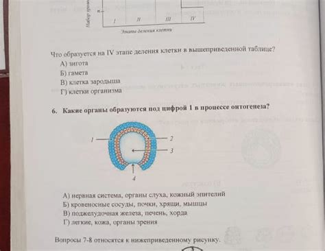 IV 6 1 StudyX